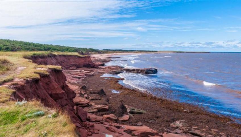 News | Government of Prince Edward Island