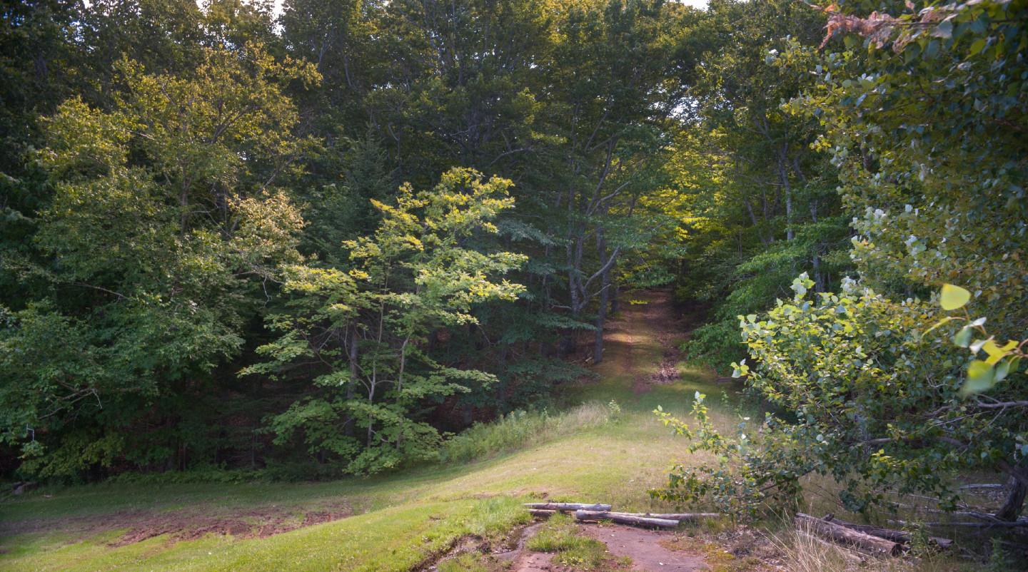 Government of Prince Edward Island