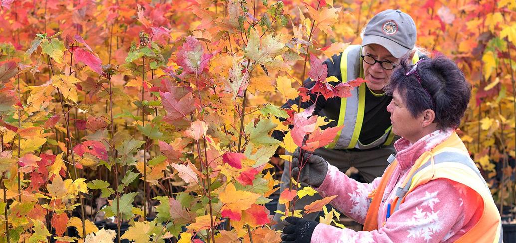 Climate Challenge Fund supports Island innovation | Government of ...