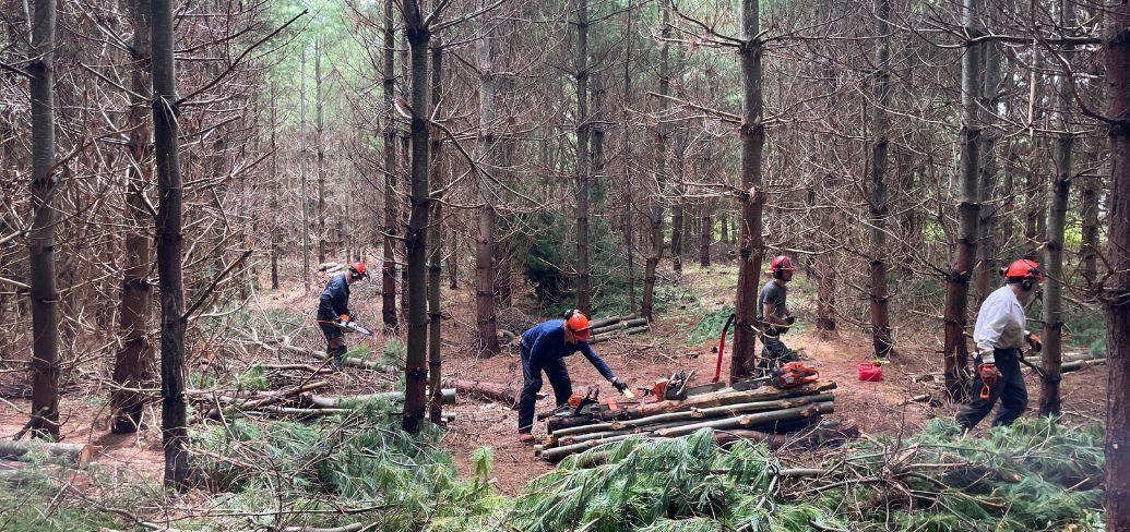 First forest sector profile released | Gouvernement de l'Île-du-Prince ...