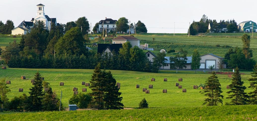 ‘You gain more than you give’: Rural Communities Council co-chair ...