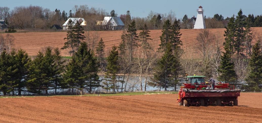 Funding for seed growers to ease the effects of COVID-19 | Government ...