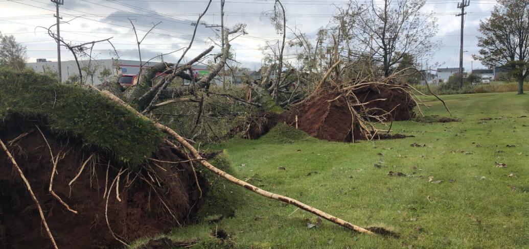 La province passe officielle à la phase du rétablissement ...