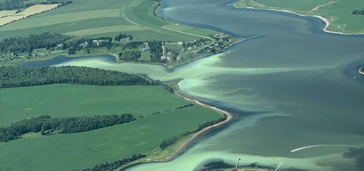 Anoxic Events | Government of Prince Edward Island