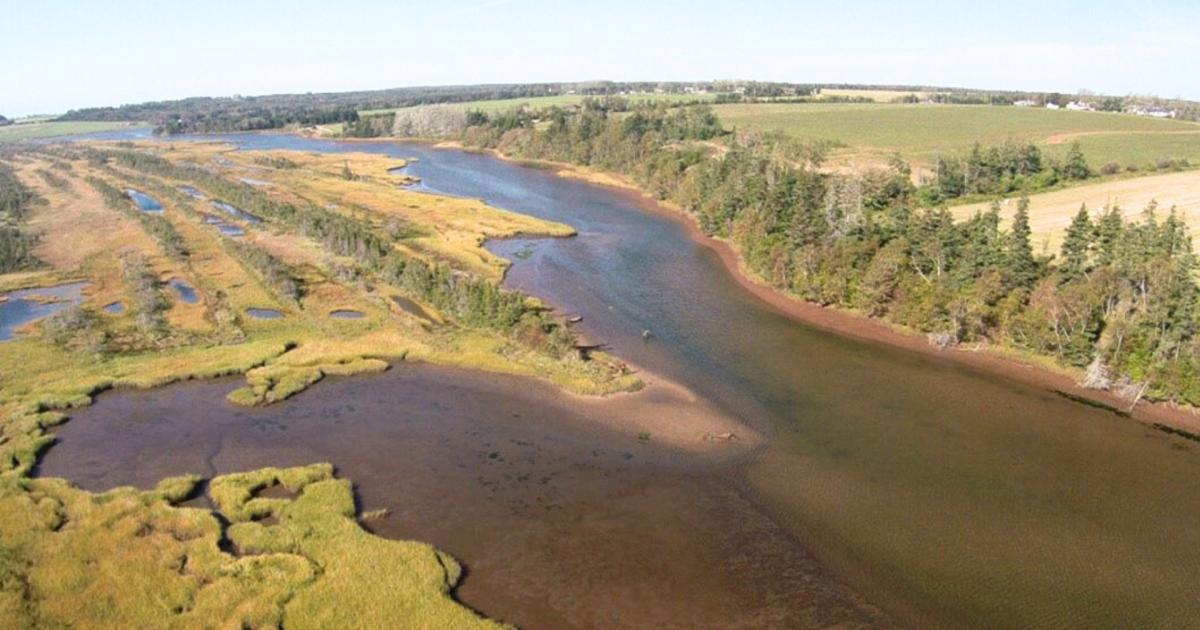 Une nouvelle visite guidée explore la zone de protection marine de ...