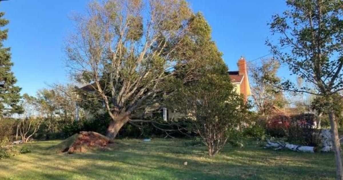 Emergency Management Training - ICS 200 – Incident Command 200 ...