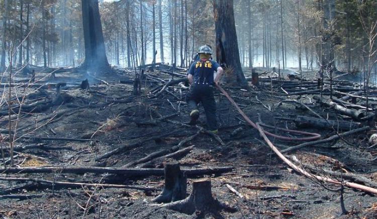 Environment, Energy and Climate Action | Government of Prince Edward Island
